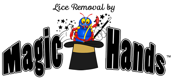 Lice Removal By Magic Hands | Long Beach Lice Removal Salon Services